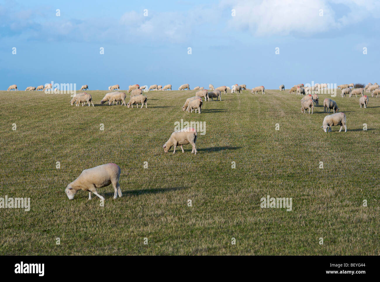 English hillside hi-res stock photography and images - Alamy