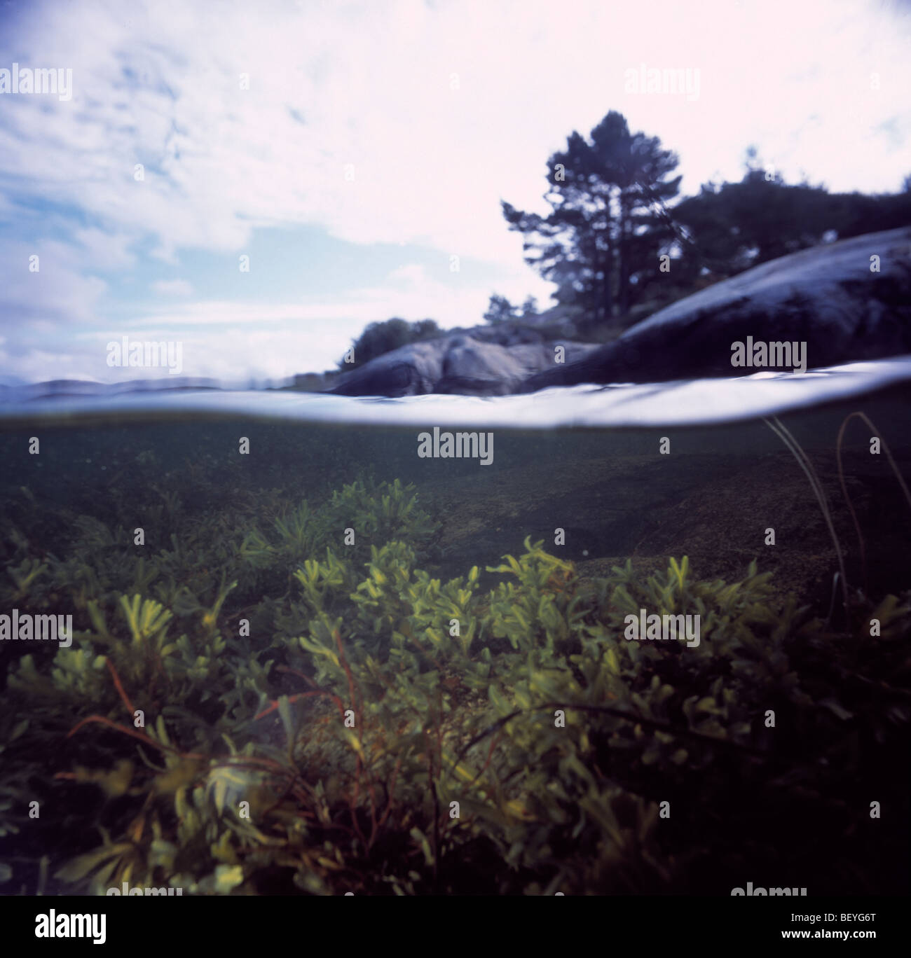 Split vision view from Koster National park, Sweden Stock Photo - Alamy