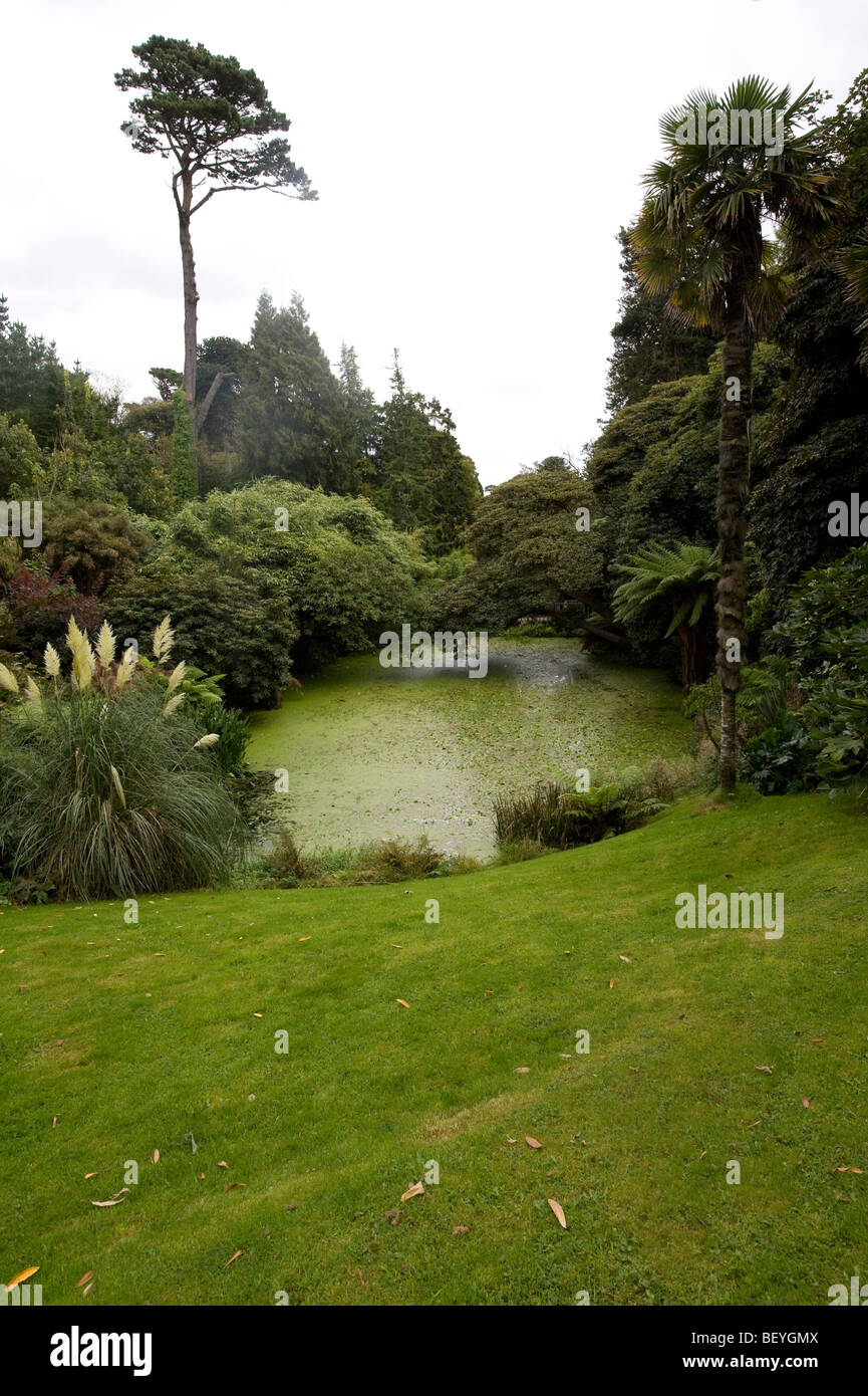 The Jungle in The Lost Gardens of Heligan, Cornwall Stock Photo - Alamy