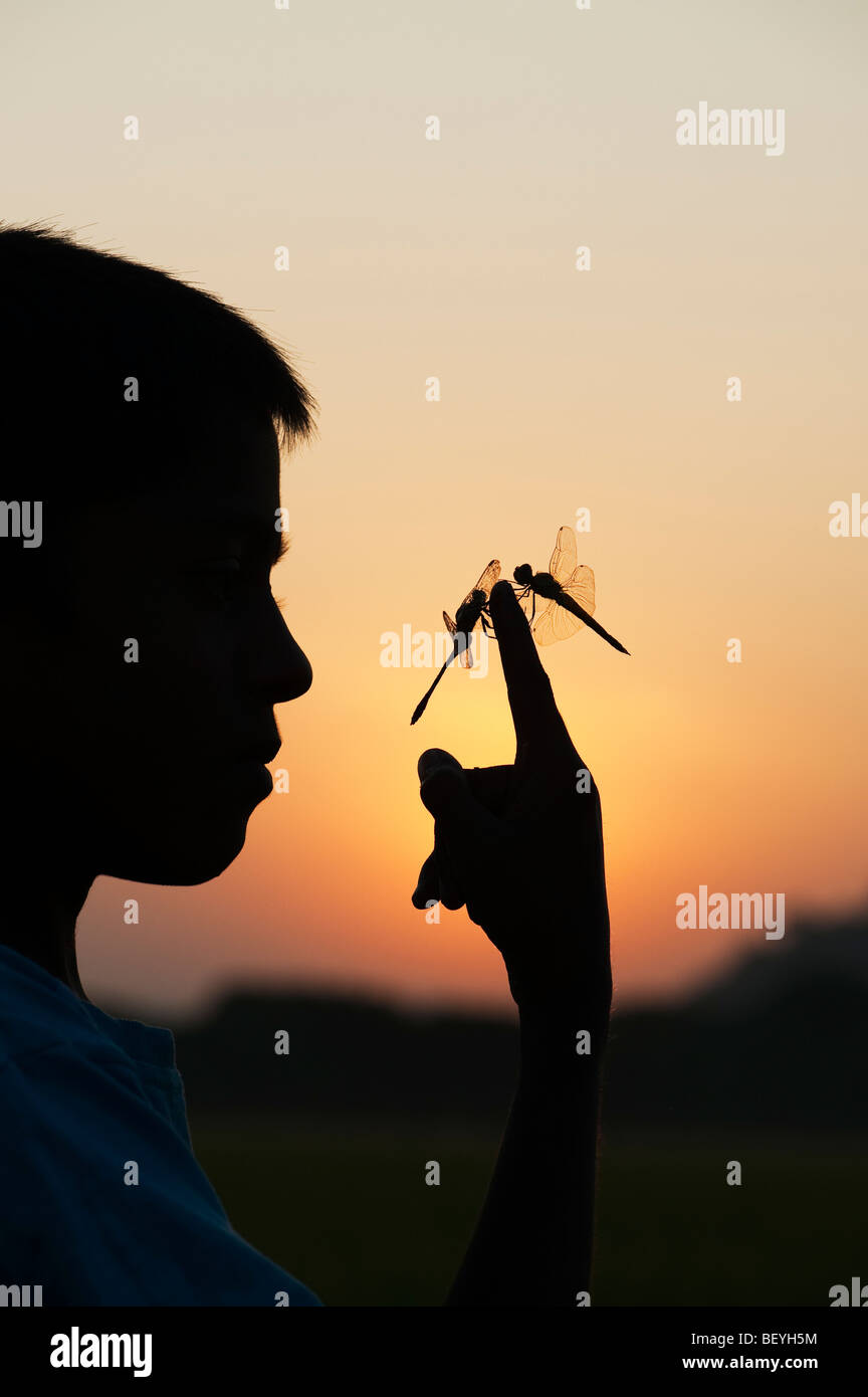 Indian boy with dragonflies on his finger at sunrise. Silhouette. India ...