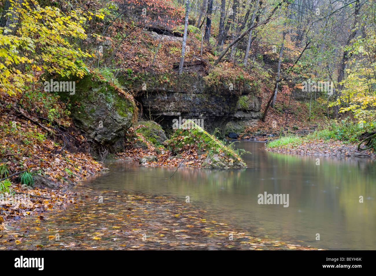 White pine hollow state forest hi-res stock photography and images - Alamy
