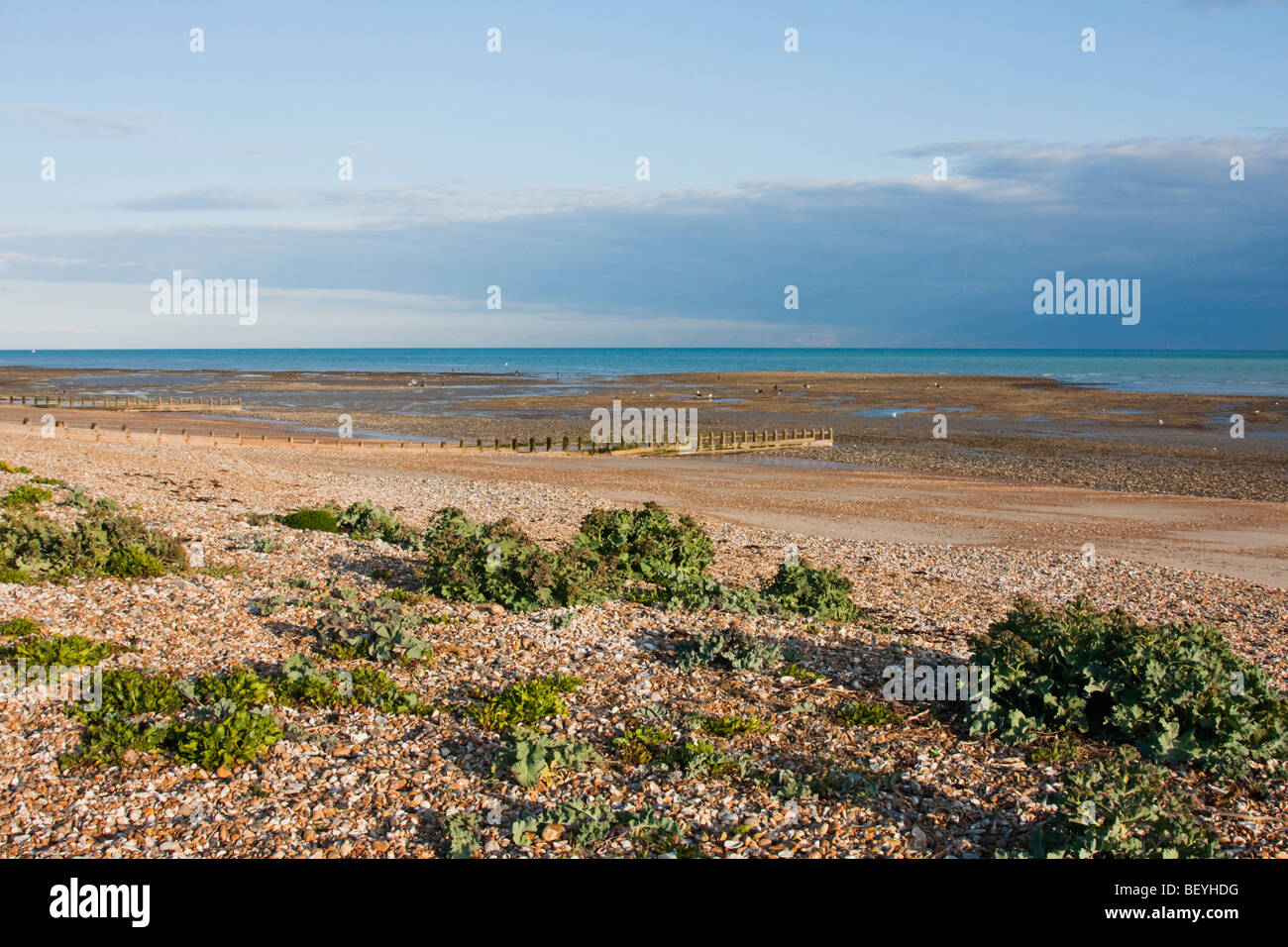 Littlehampton beach, West Sussex Stock Photo - Alamy