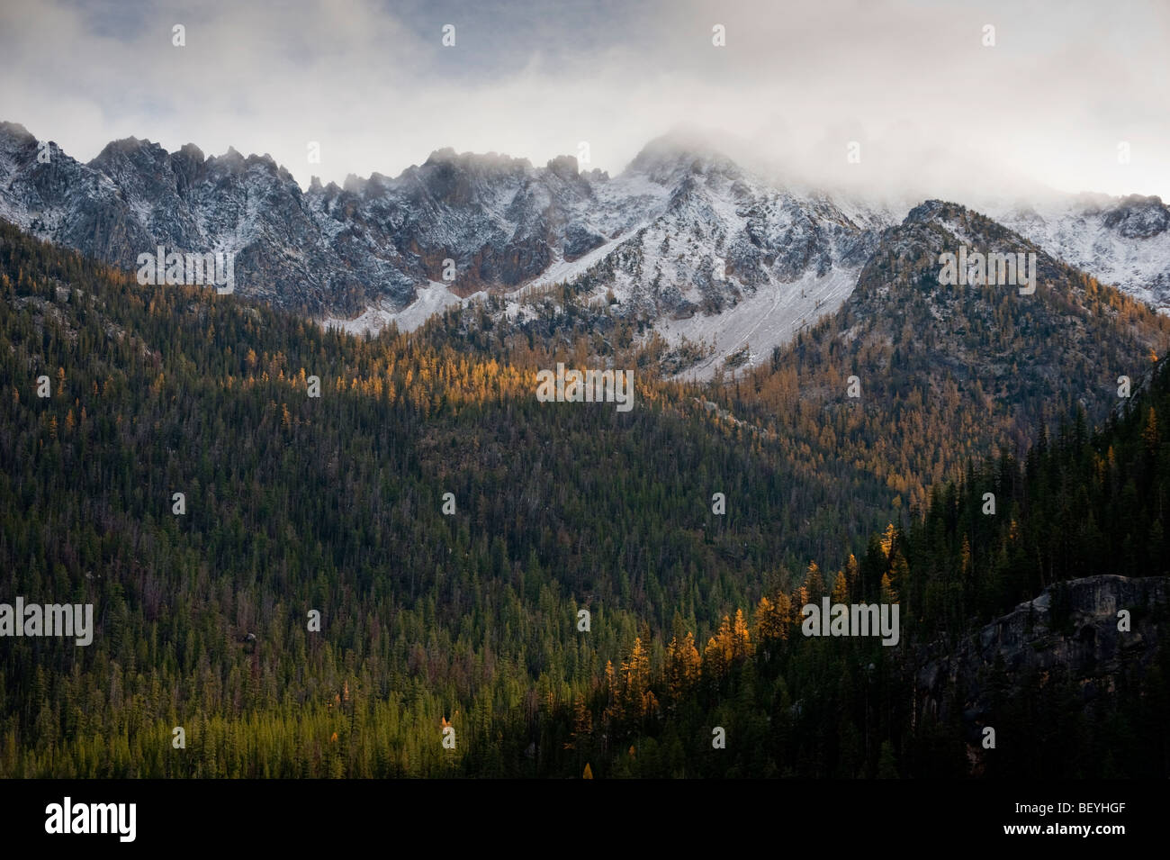 West slope of the cascades hi-res stock photography and images - Alamy