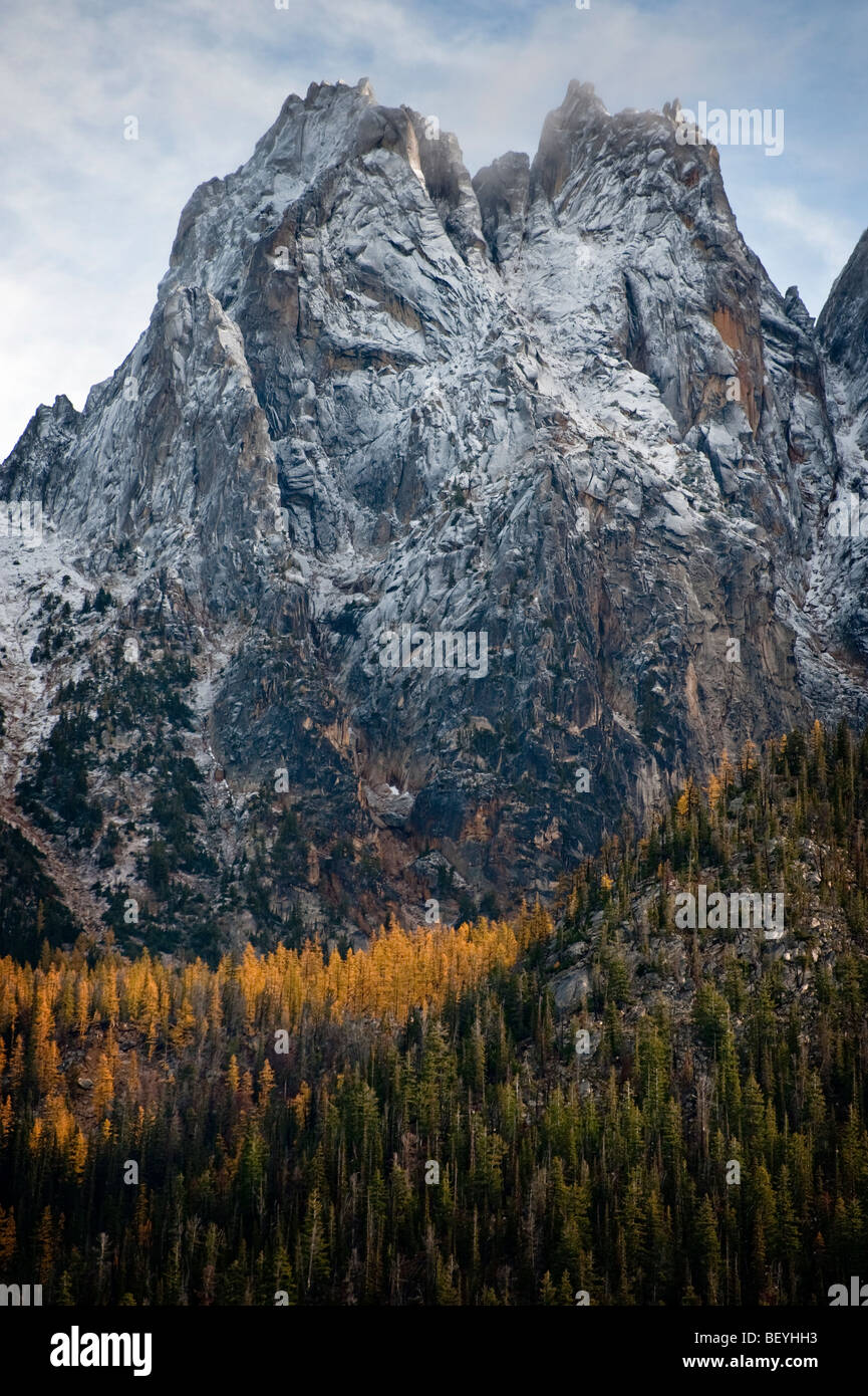 Beautiful North Cascade Mountain range seen from Highway 20. The larch ...