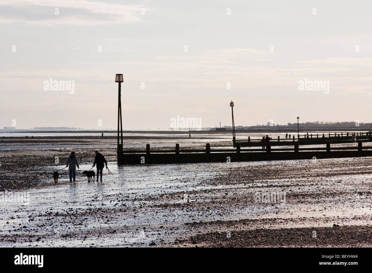 Littlehampton beach people hi-res stock photography and images - Alamy
