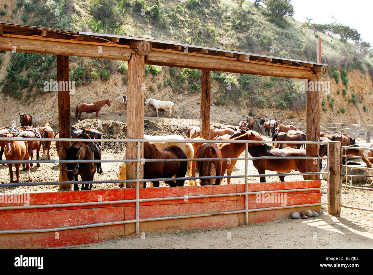 Caballos establo hi-res stock photography and images - Alamy