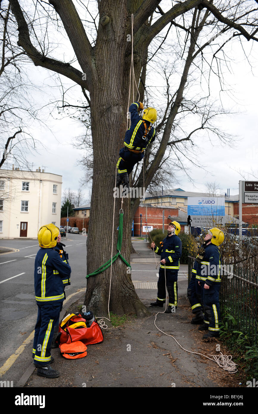 Fireman tree cat rescue hi-res stock photography and images - Alamy