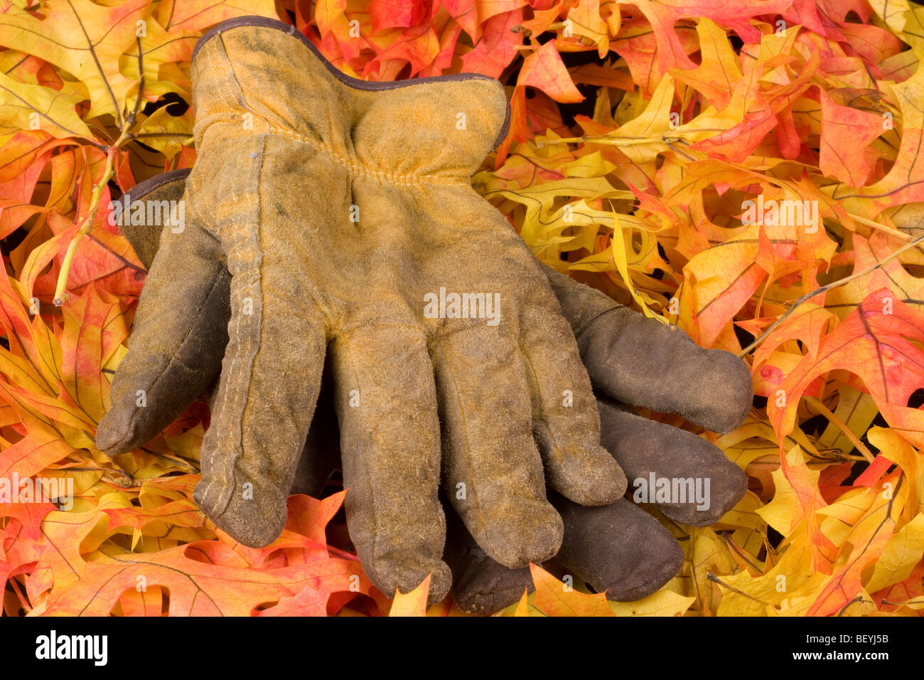 work gloves fall Stock Photo - Alamy