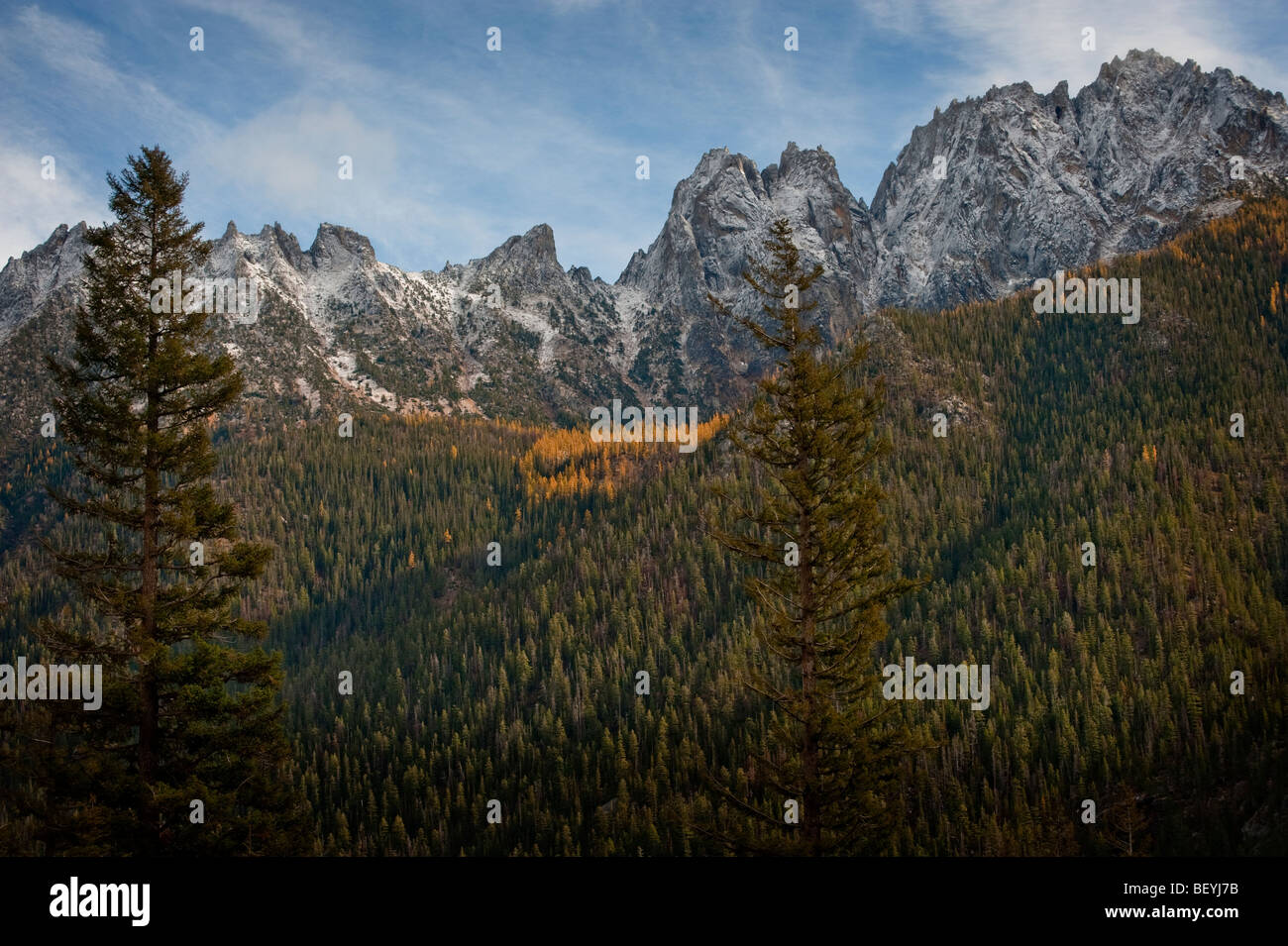 Beautiful North Cascade Mountain range seen from Highway 20. The larch ...