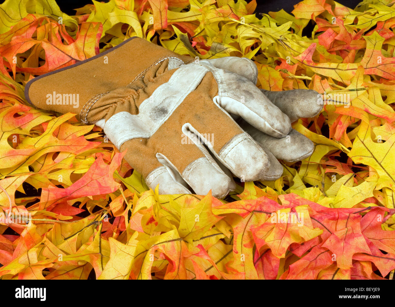 fall work gloves Stock Photo - Alamy