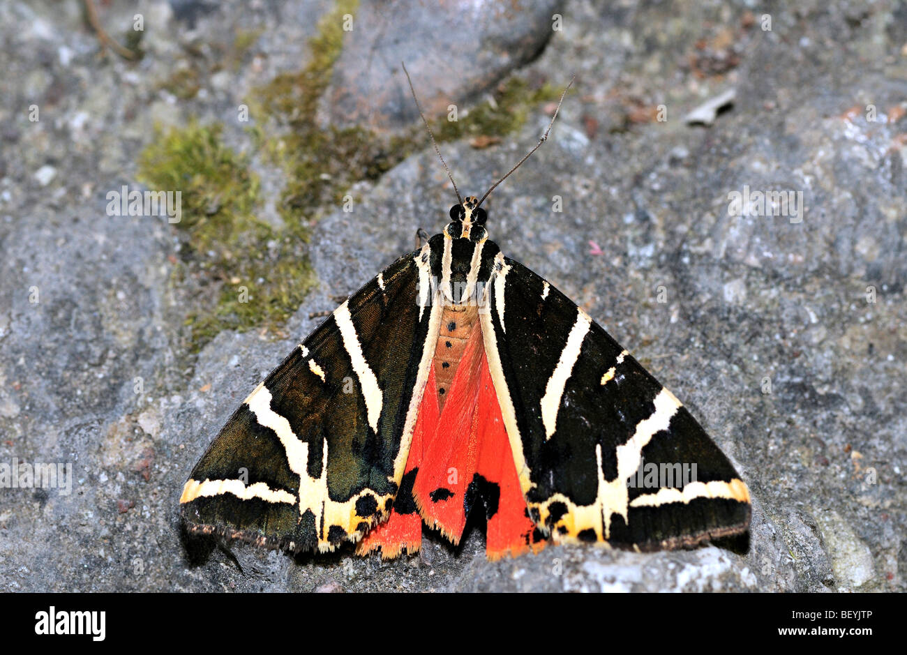 Butterfly valley rhodes hi-res stock photography and images - Alamy