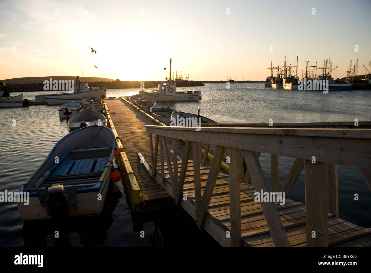 Old Perlican High Resolution Stock Photography and Images - Alamy