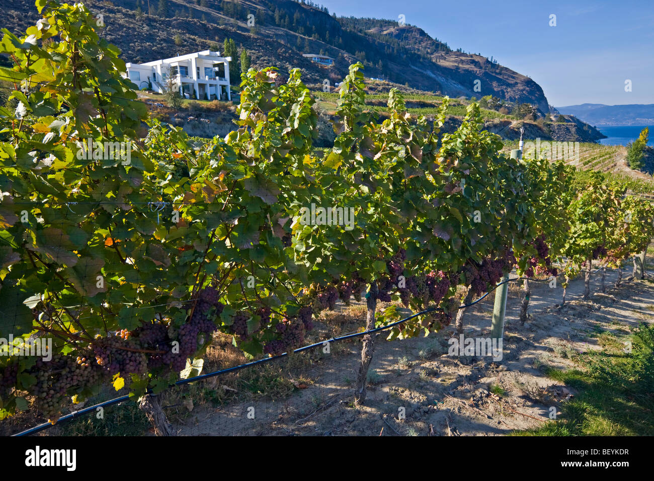 Sunshine house hi-res stock photography and images - Alamy