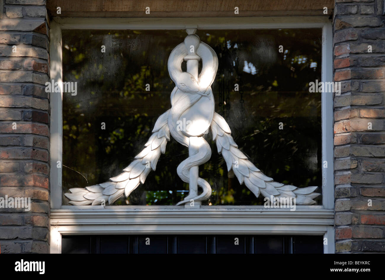 Rod of Asclepius emblem, symbol of healing and medicine, above doctor's ...