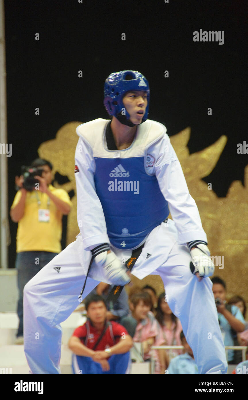 Taekwondo fighter in ready pose at the SE Asian Martial Arts ...