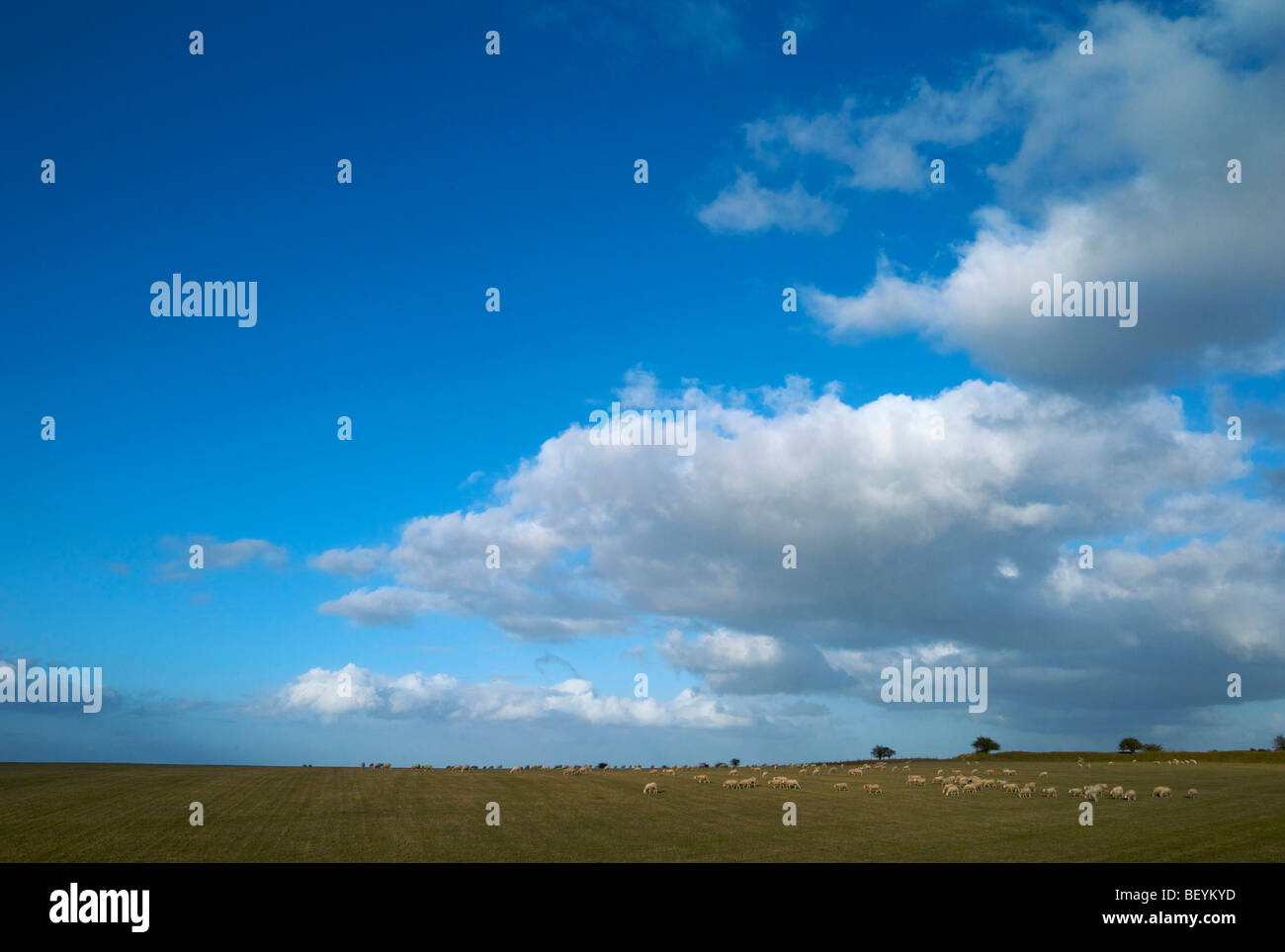 English hillside hi-res stock photography and images - Alamy