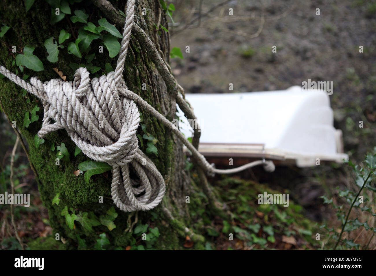 Boat tied to a tree hi-res stock photography and images - Alamy