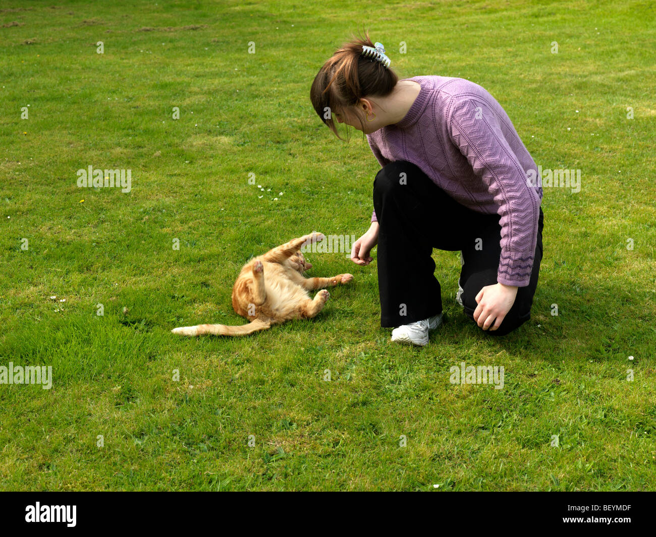 Cat rolling hi-res stock photography and images - Alamy