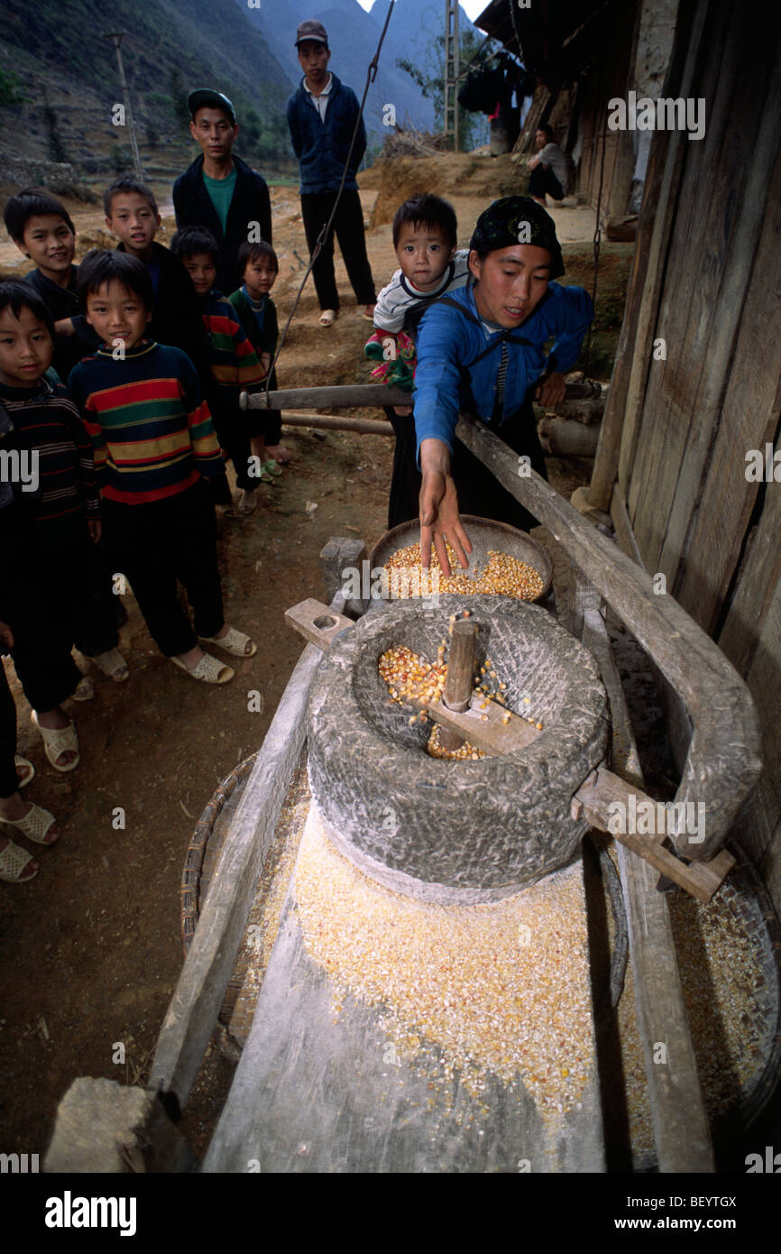 Vietnam, Ha Giang province, Meo Vac, H'mong ethnic minority, corn ...