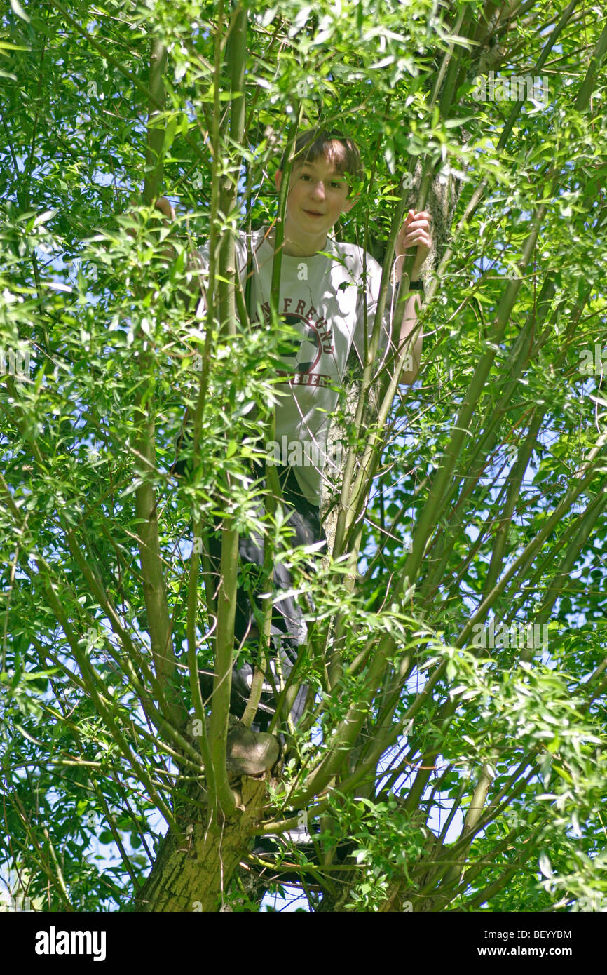 teenage boy climbing a tree Stock Photo - Alamy