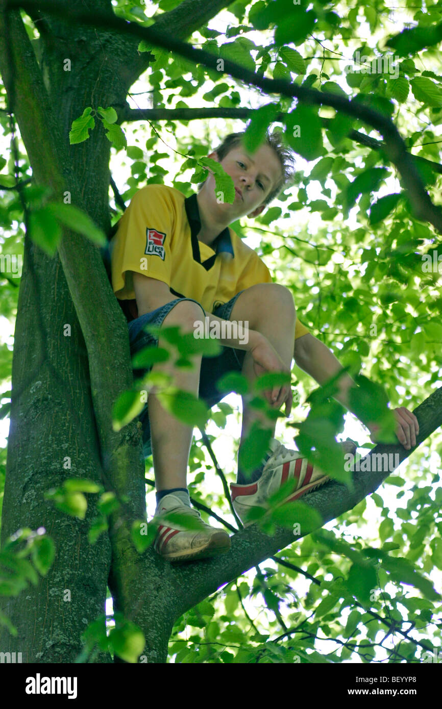 teenage boy sitting in a tree Stock Photo - Alamy