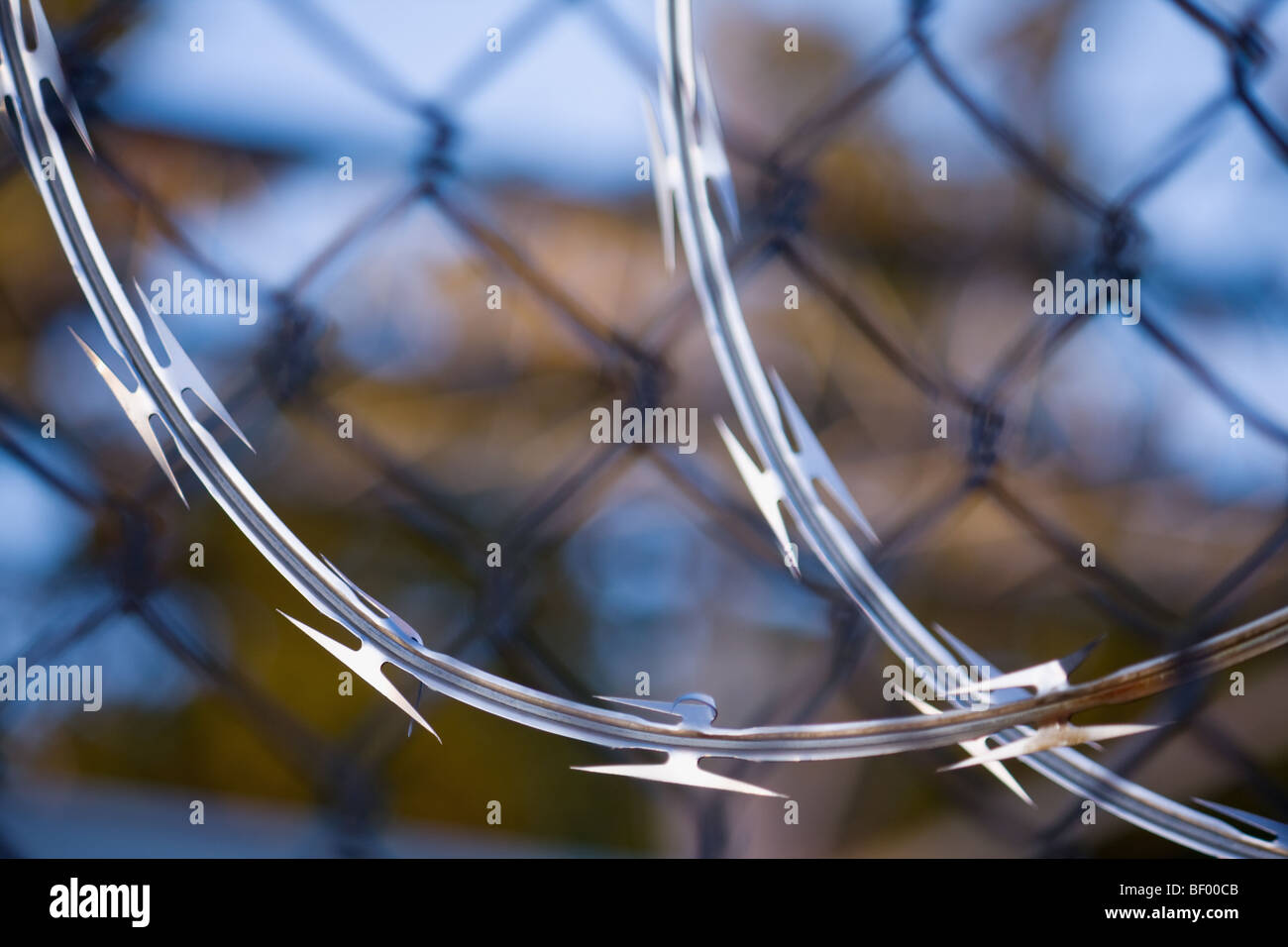 Razor wire fence hi-res stock photography and images - Alamy