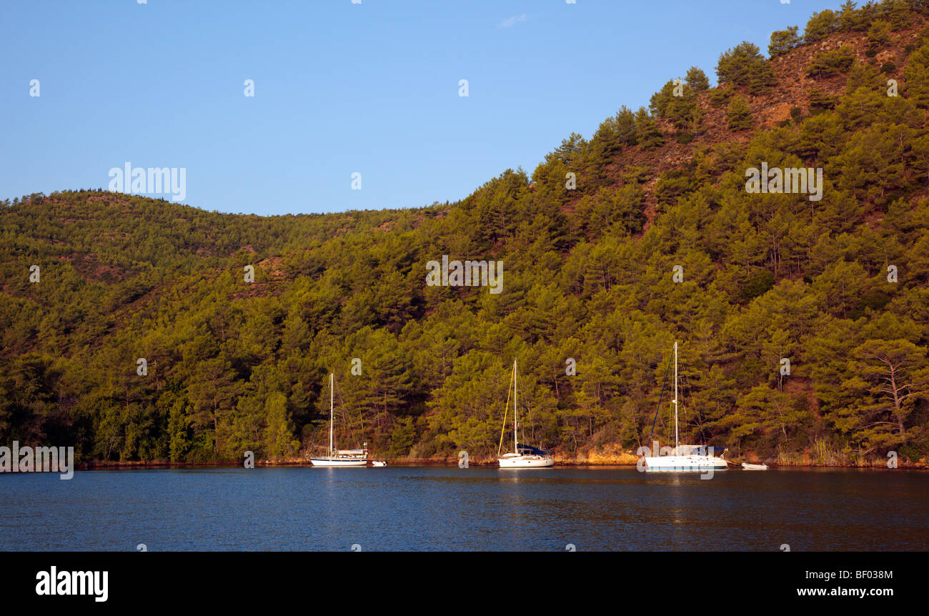 Gulet sailing in Fethiye / Gocek bays Turkey Stock Photo - Alamy