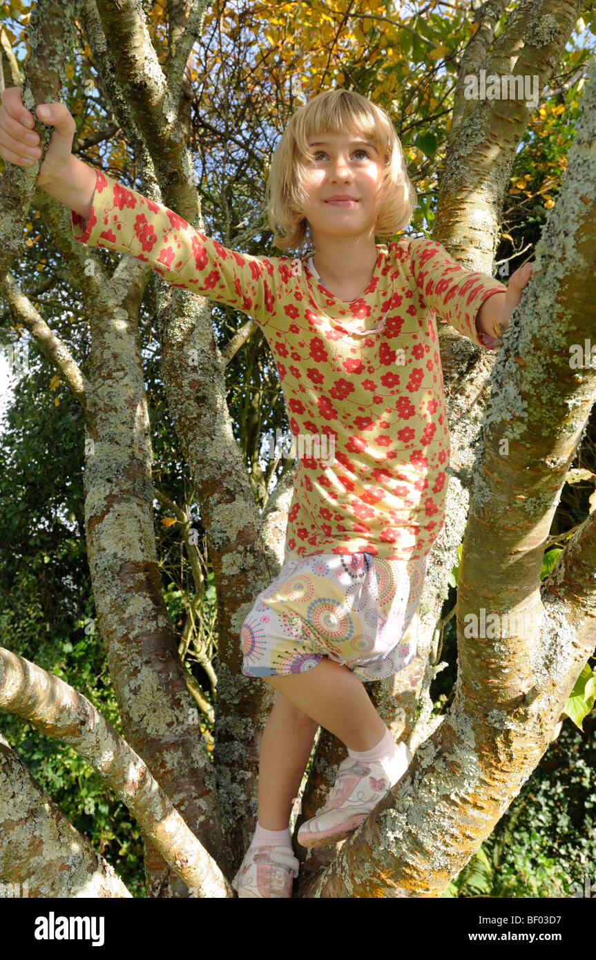 Climber tree hi-res stock photography and images - Alamy