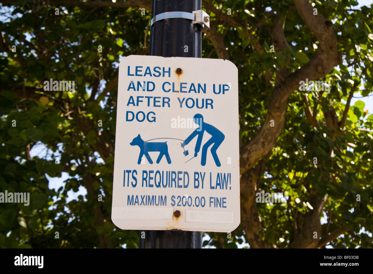 Leash and clean up after your dog warning sign ocean drive miami south ...