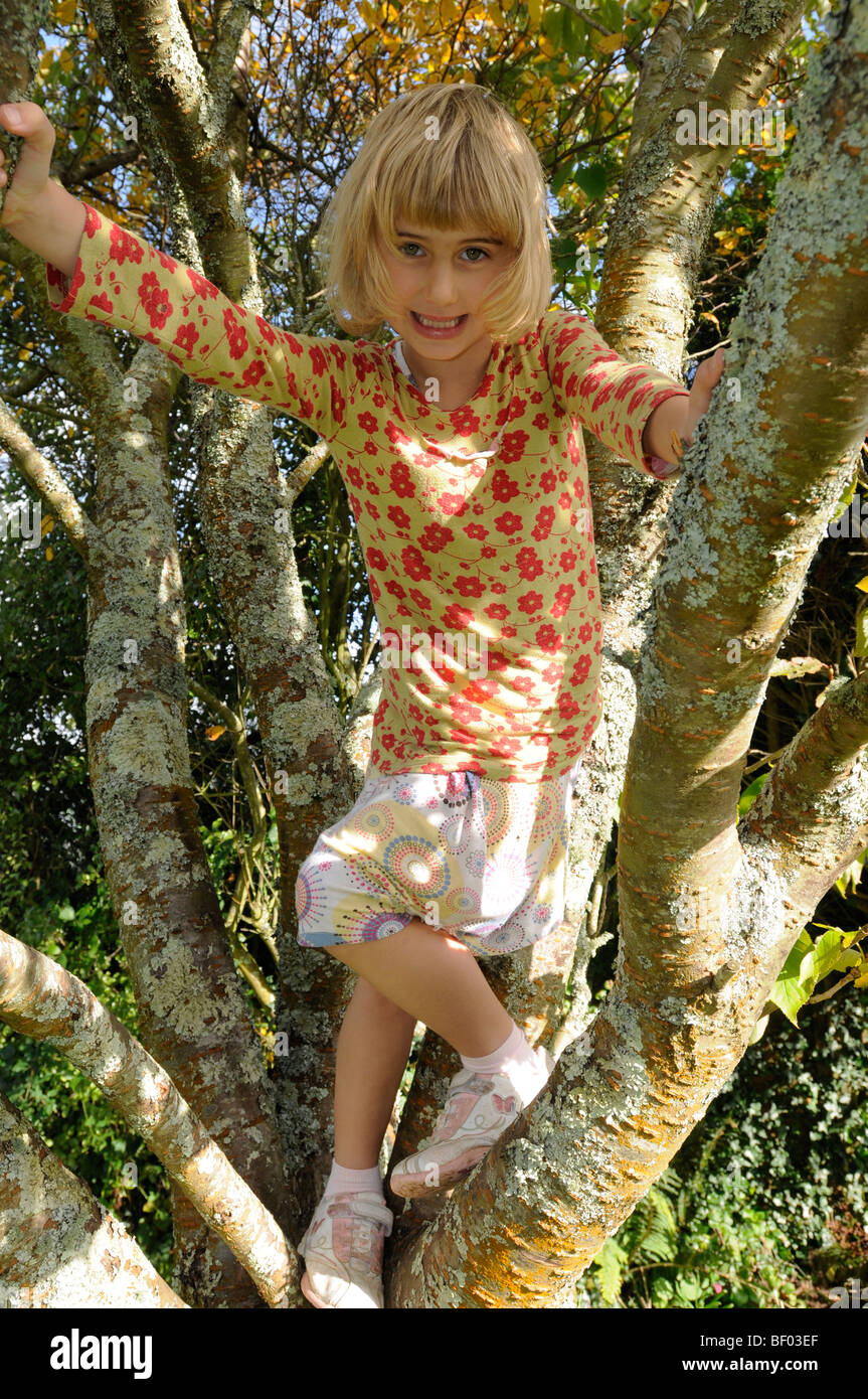 A six year old tree climber Stock Photo - Alamy
