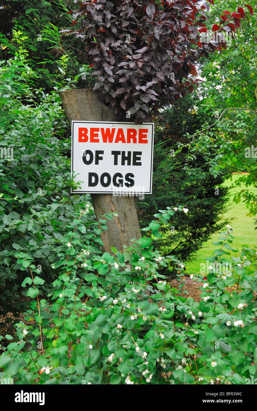 Beware of the dog sign Stock Photo - Alamy
