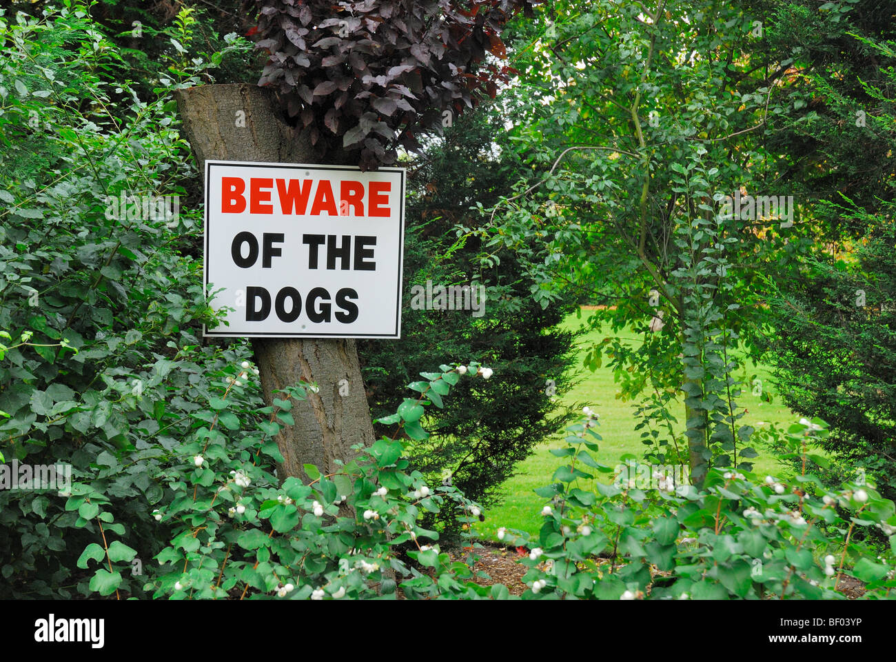 Beware of the dog sign Stock Photo - Alamy
