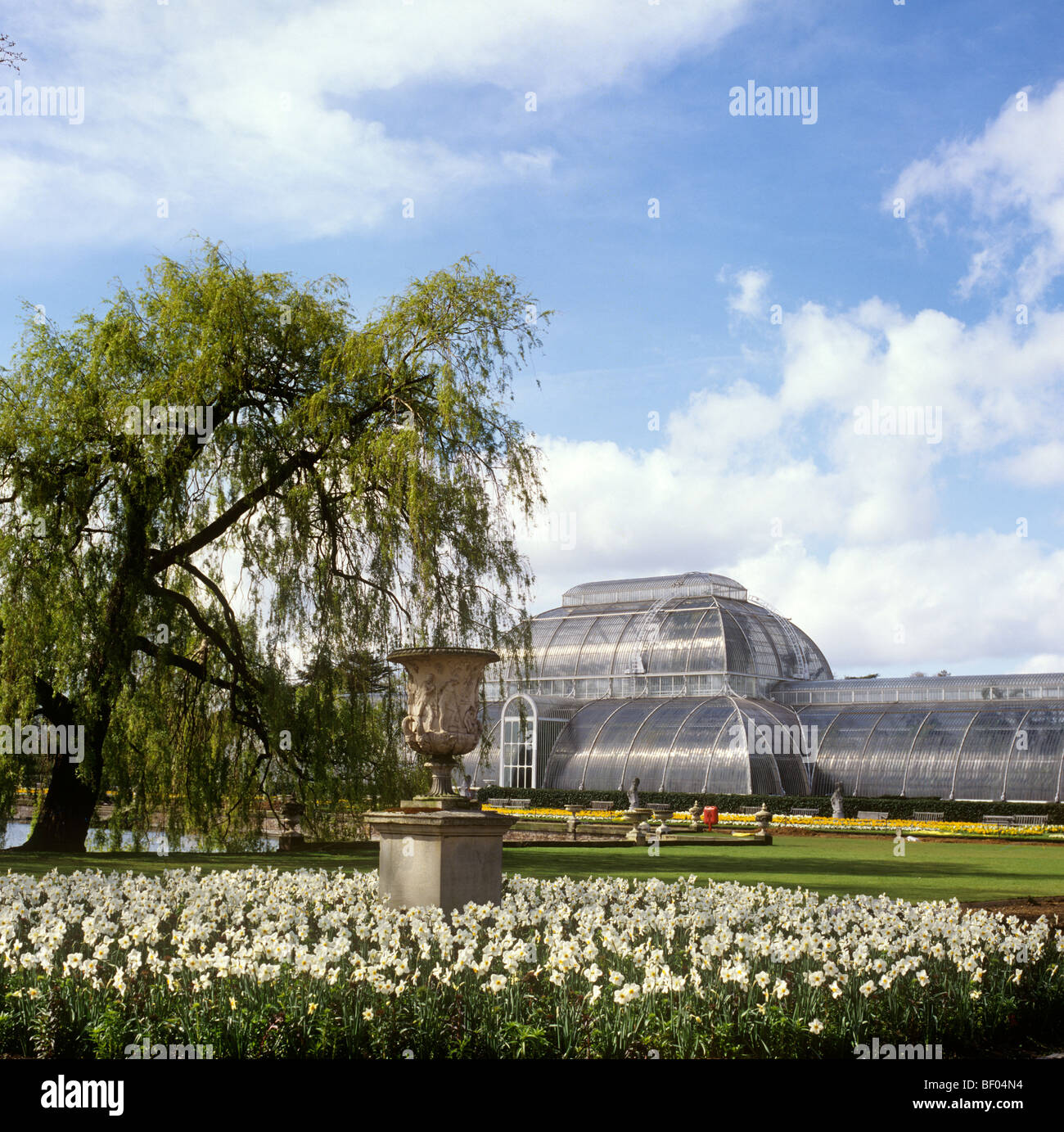 Palm house kew gardens victorian palm house hi-res stock photography ...
