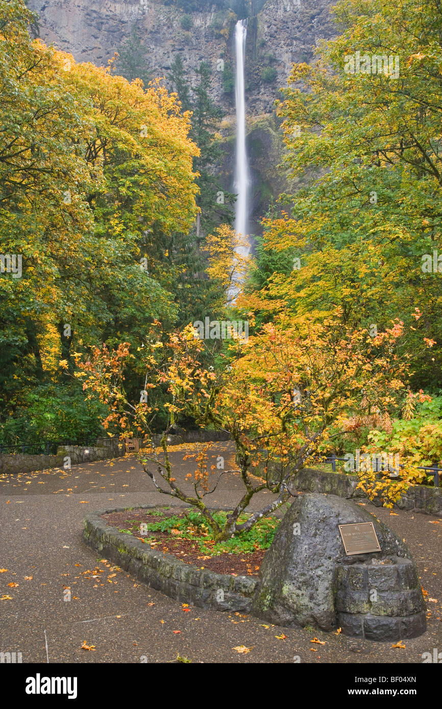 Waterfall in a forest, Multnomah Falls, Columbia River Gorge, Oregon ...