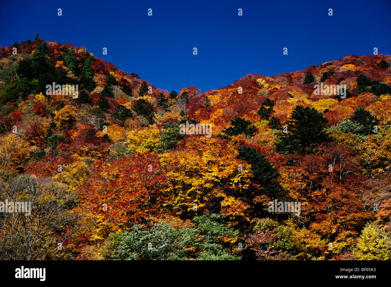 Blue mountains colour hi-res stock photography and images - Alamy