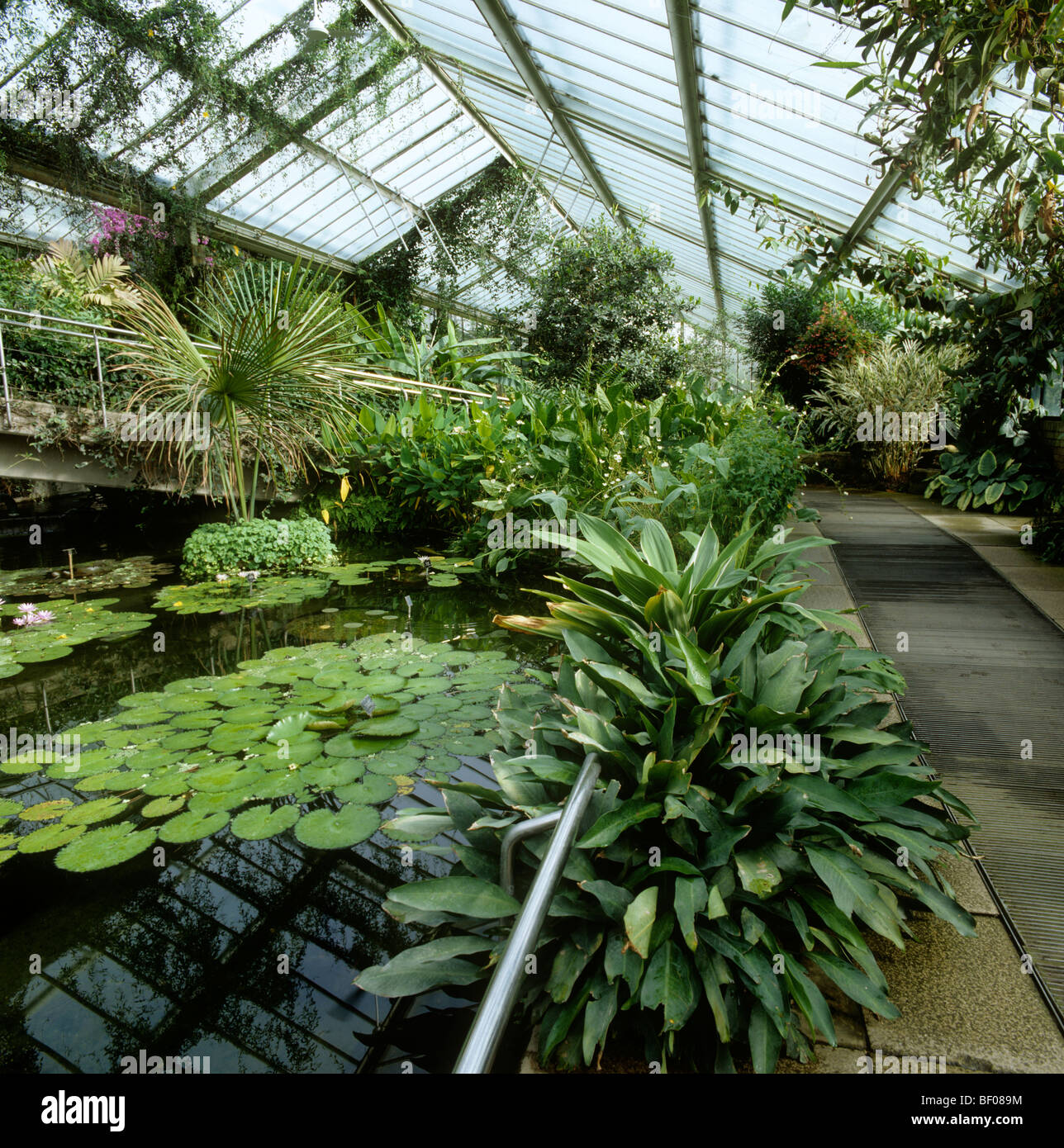 UK, England, London, Kew Gardens, inside the Princess of Wales ...