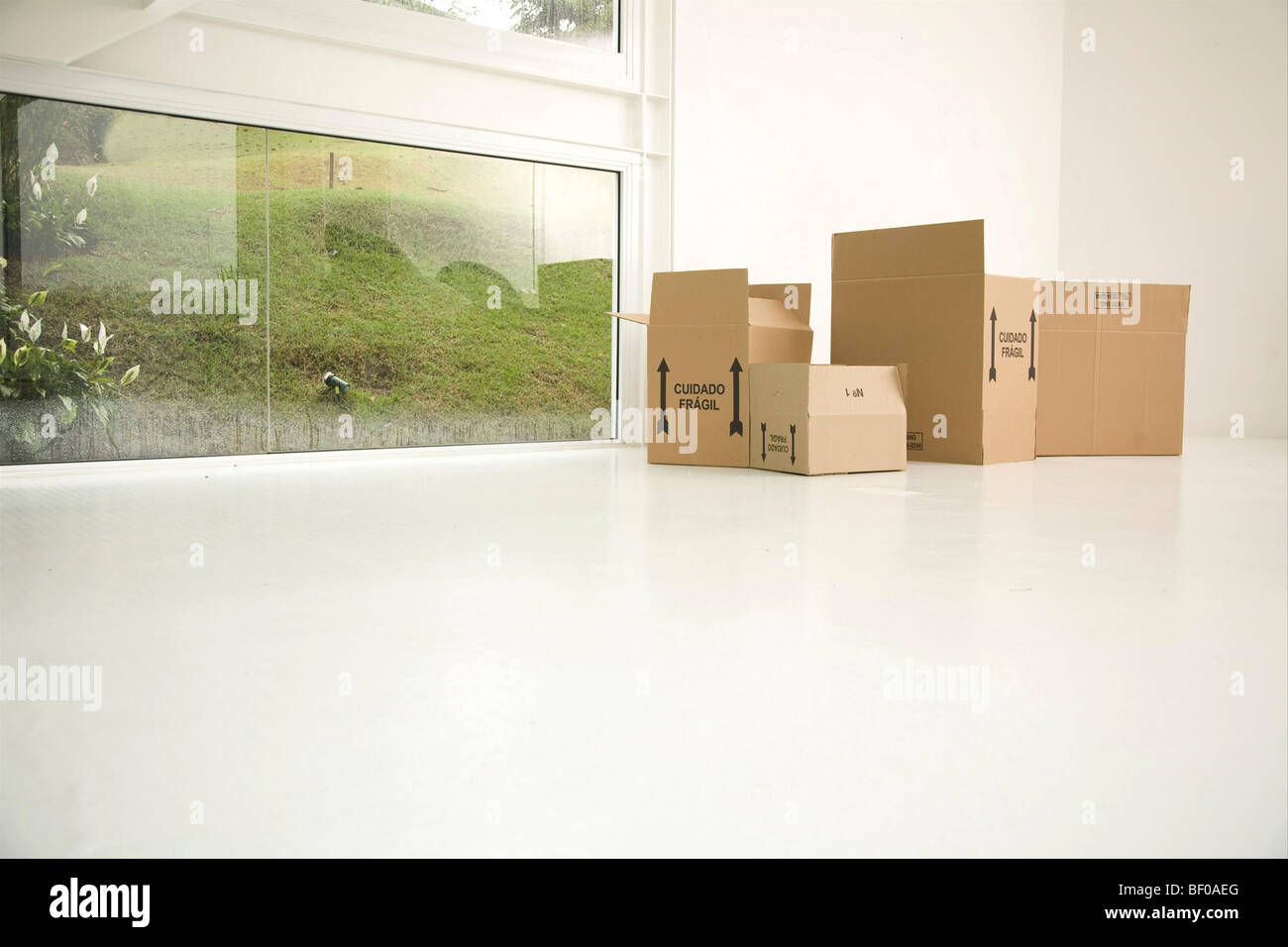 Cardboard boxes in an otherwise empty room Stock Photo - Alamy