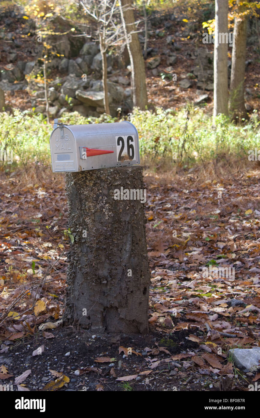 Akn hi-res stock photography and images - Alamy