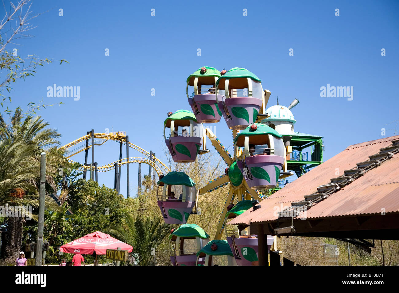 Ratanga Junction Theme Park - Kids Big wheel Stock Photo - Alamy