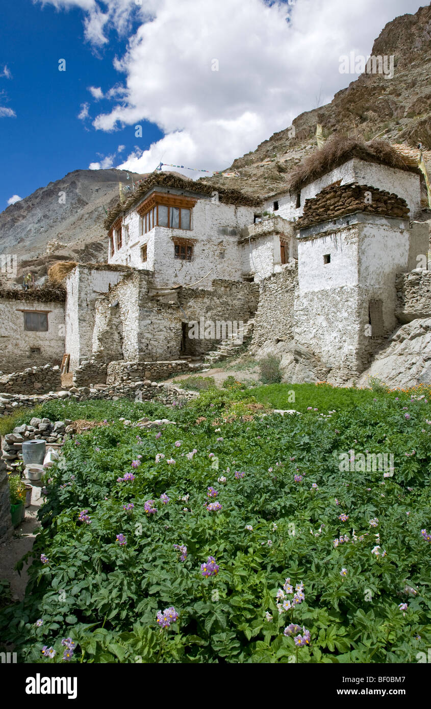 Zanskar house hi-res stock photography and images - Alamy