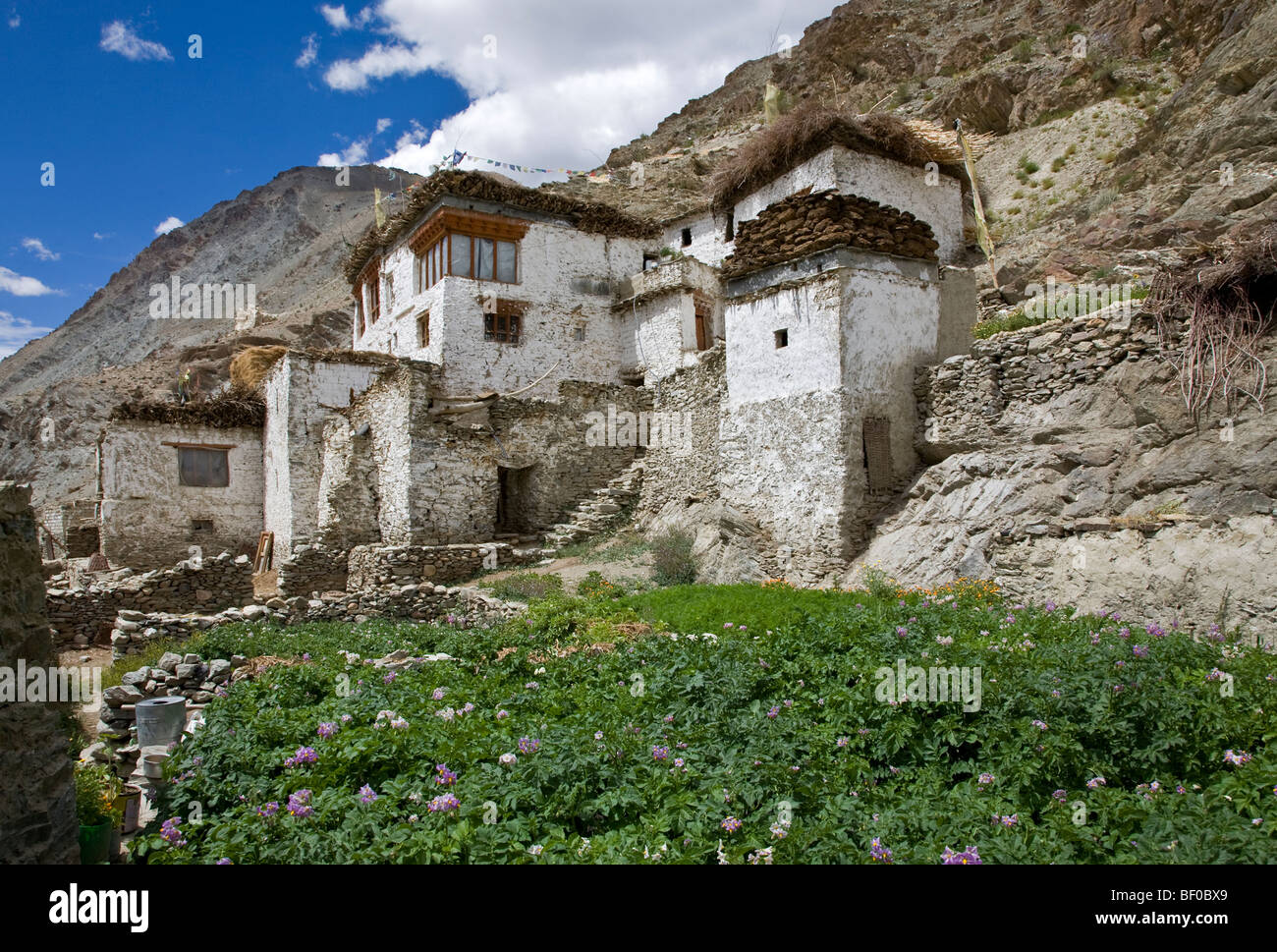 Zanskar house hi-res stock photography and images - Alamy
