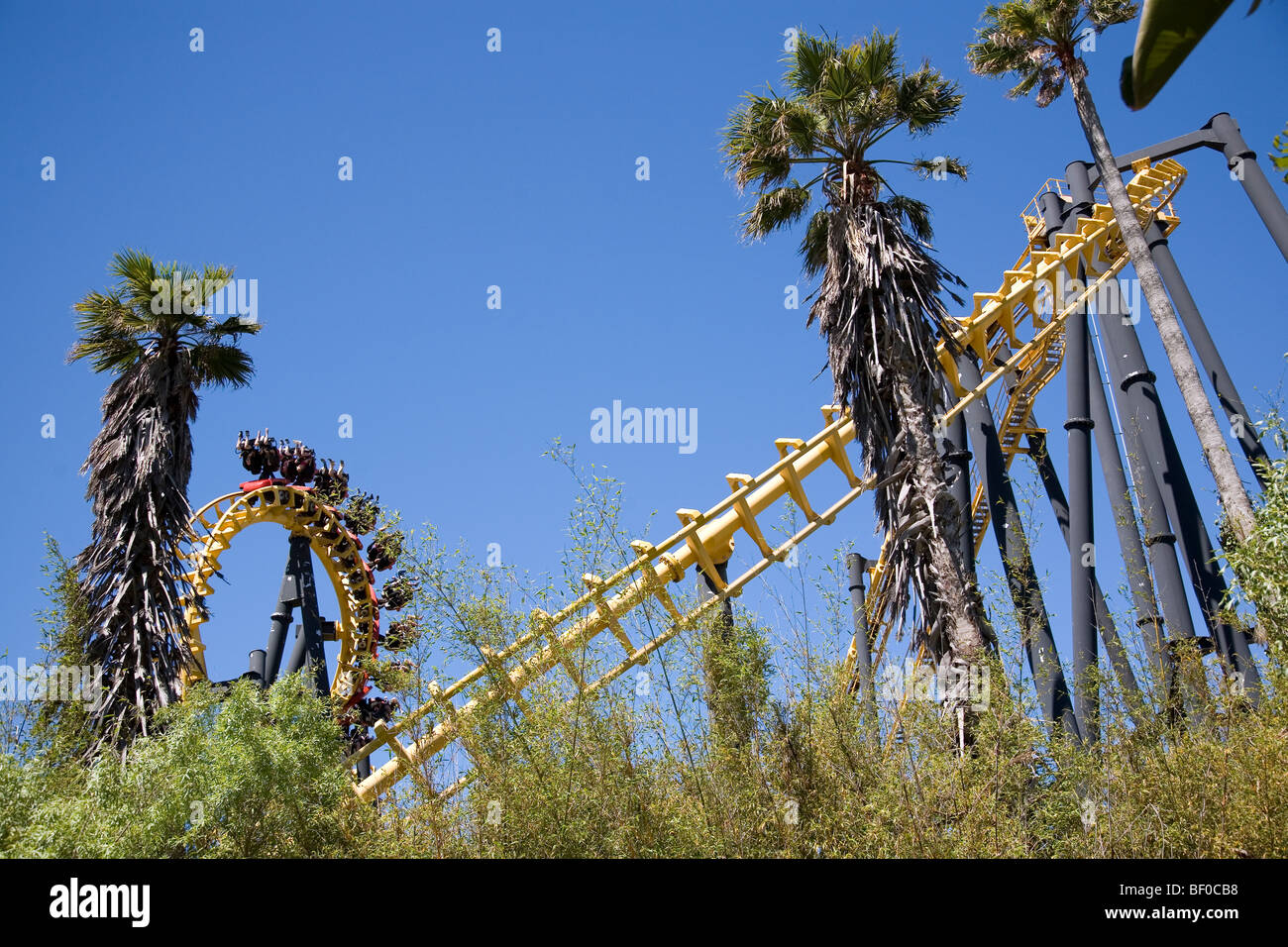 Cobra Ride at Ratanga Junction - Cape Town Stock Photo - Alamy