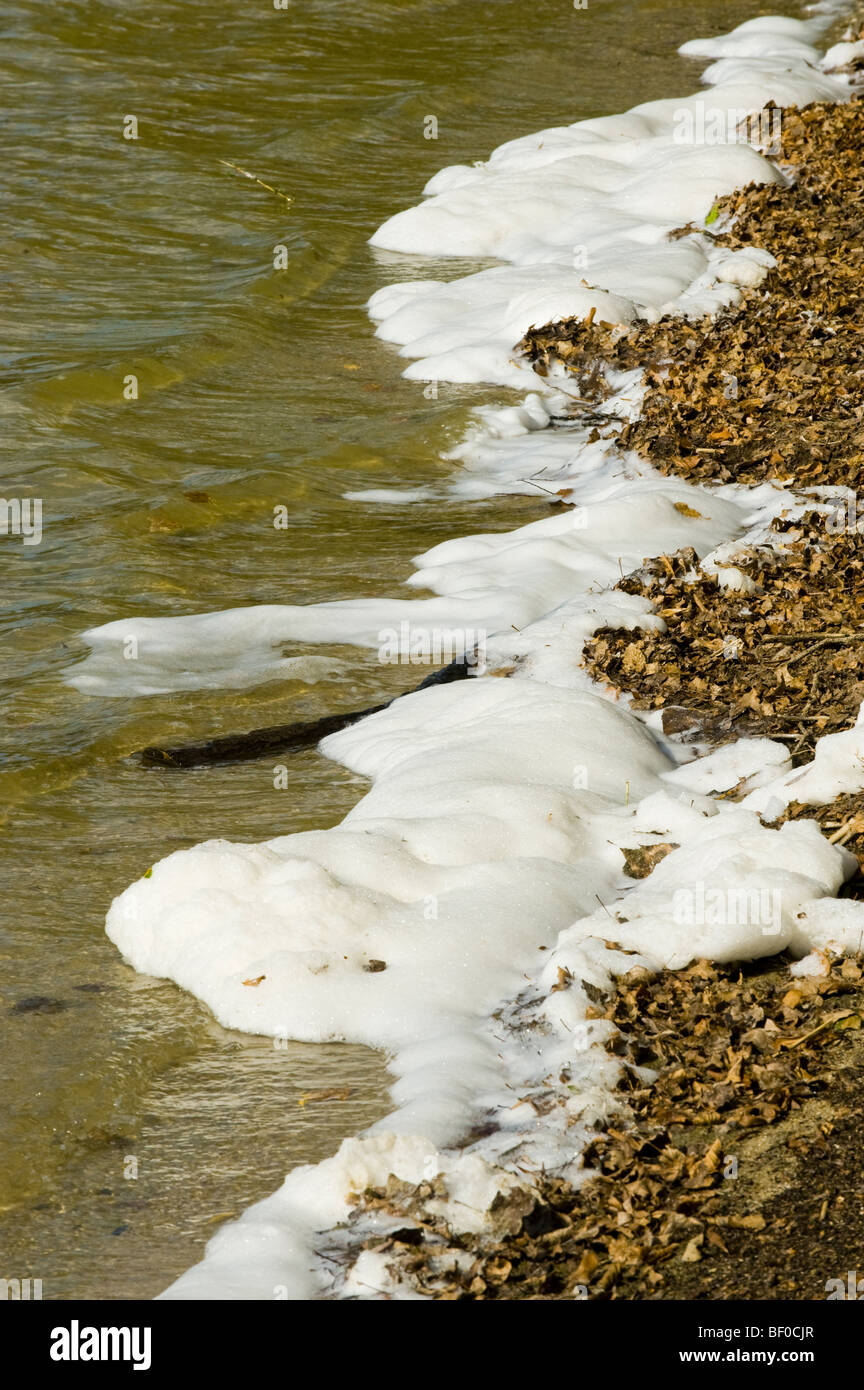 environmental pollution environment water pond bank river beach sand ...