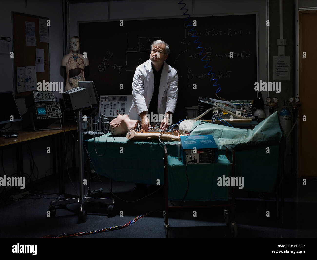 Doctor experimenting with model Stock Photo - Alamy