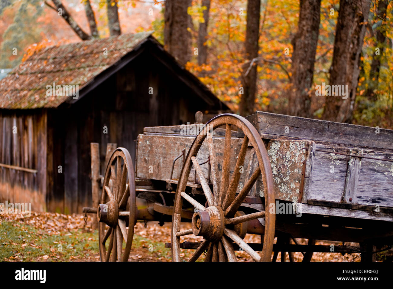 wagon and barn in fall autumn leaves Stock Photo - Alamy