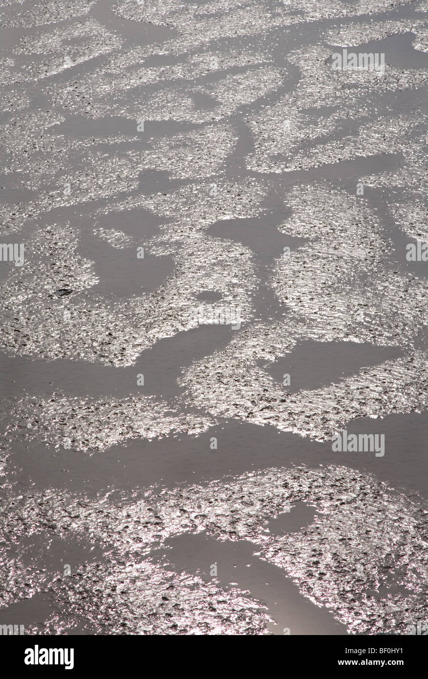 Silt river bed hi-res stock photography and images - Alamy