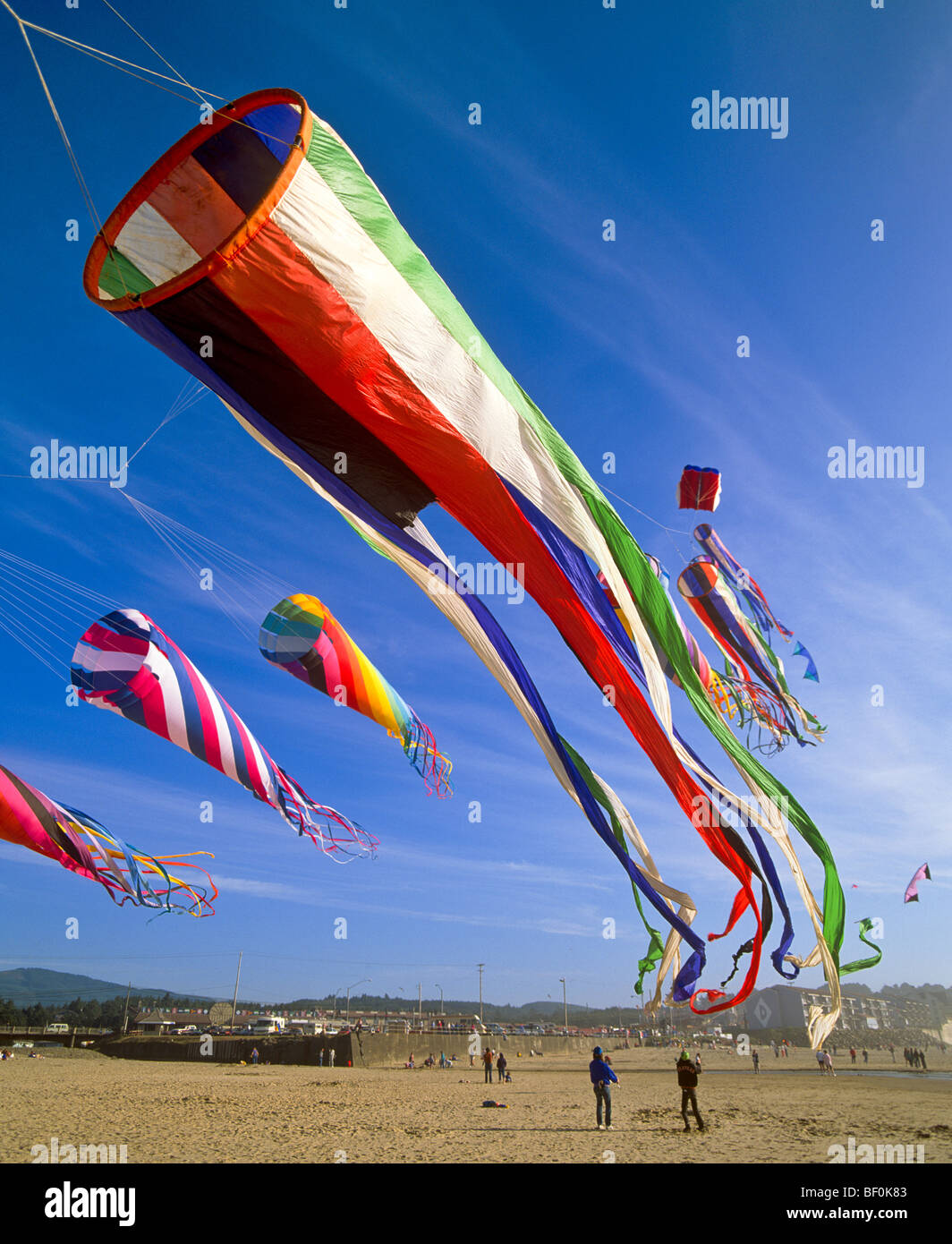 Kite Flying In Spring