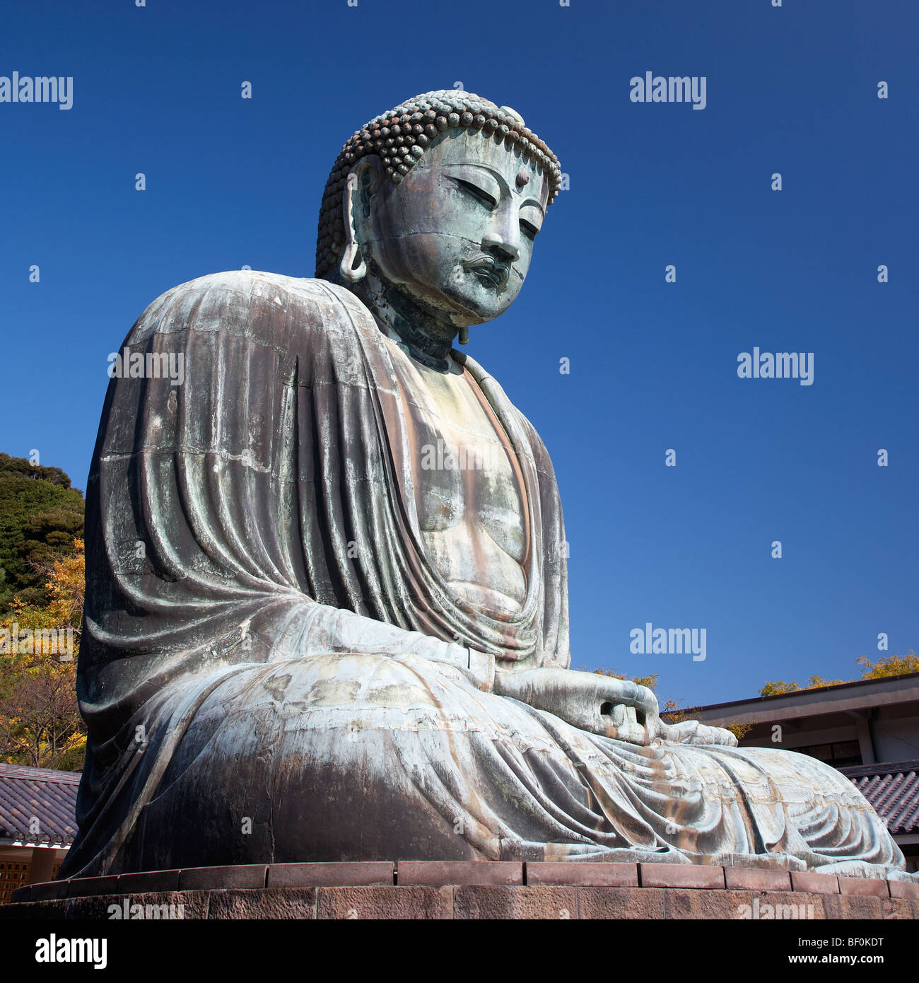 Daibutsu - famous Great Buddha bronze statue in Kamakura, Kotokuin ...