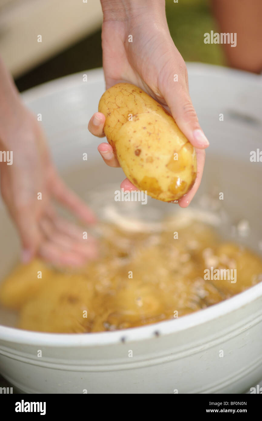 Person washing potatoes hi-res stock photography and images - Alamy