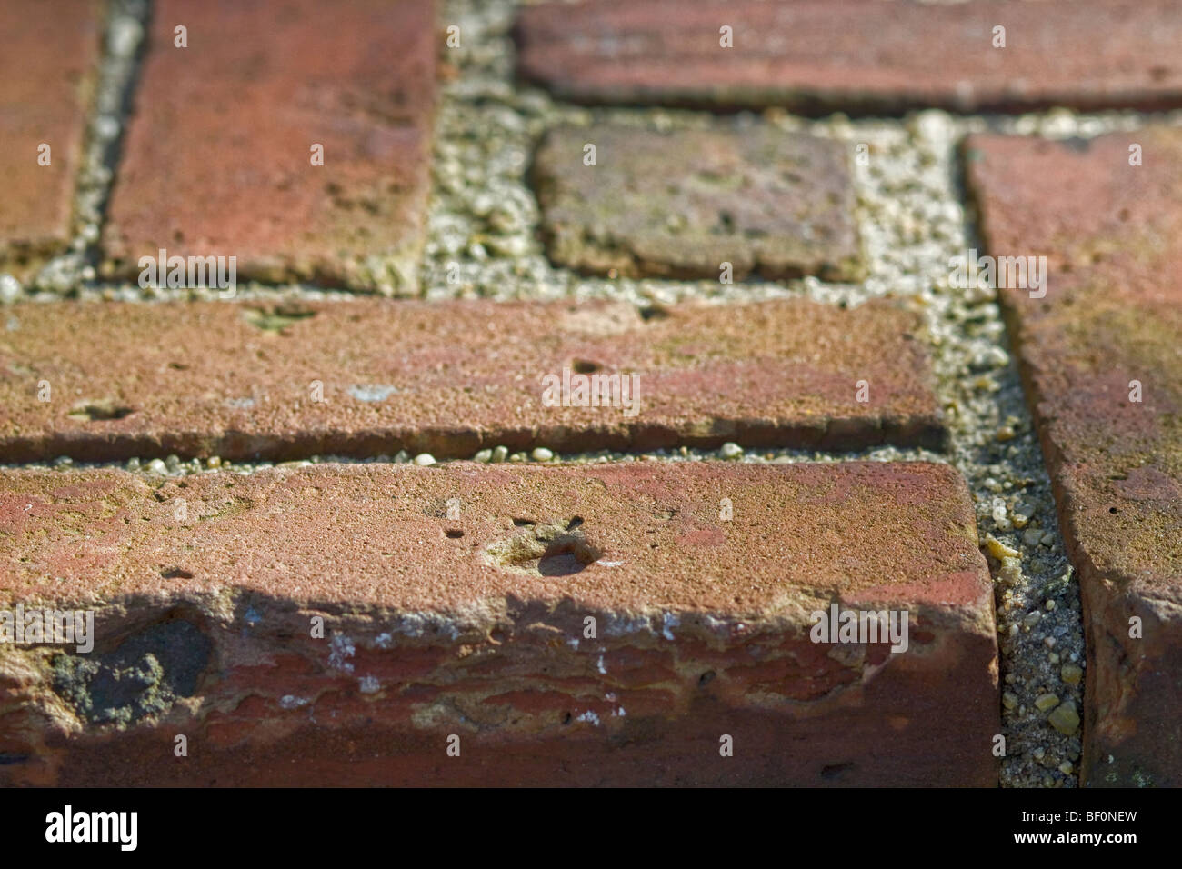 Brick background with shallow DOF Stock Photo - Alamy